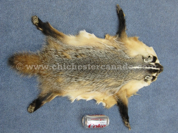 Badger Skins, Badger Hides, Badger Pelts