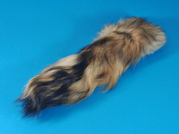 Tanuki Dog Tail