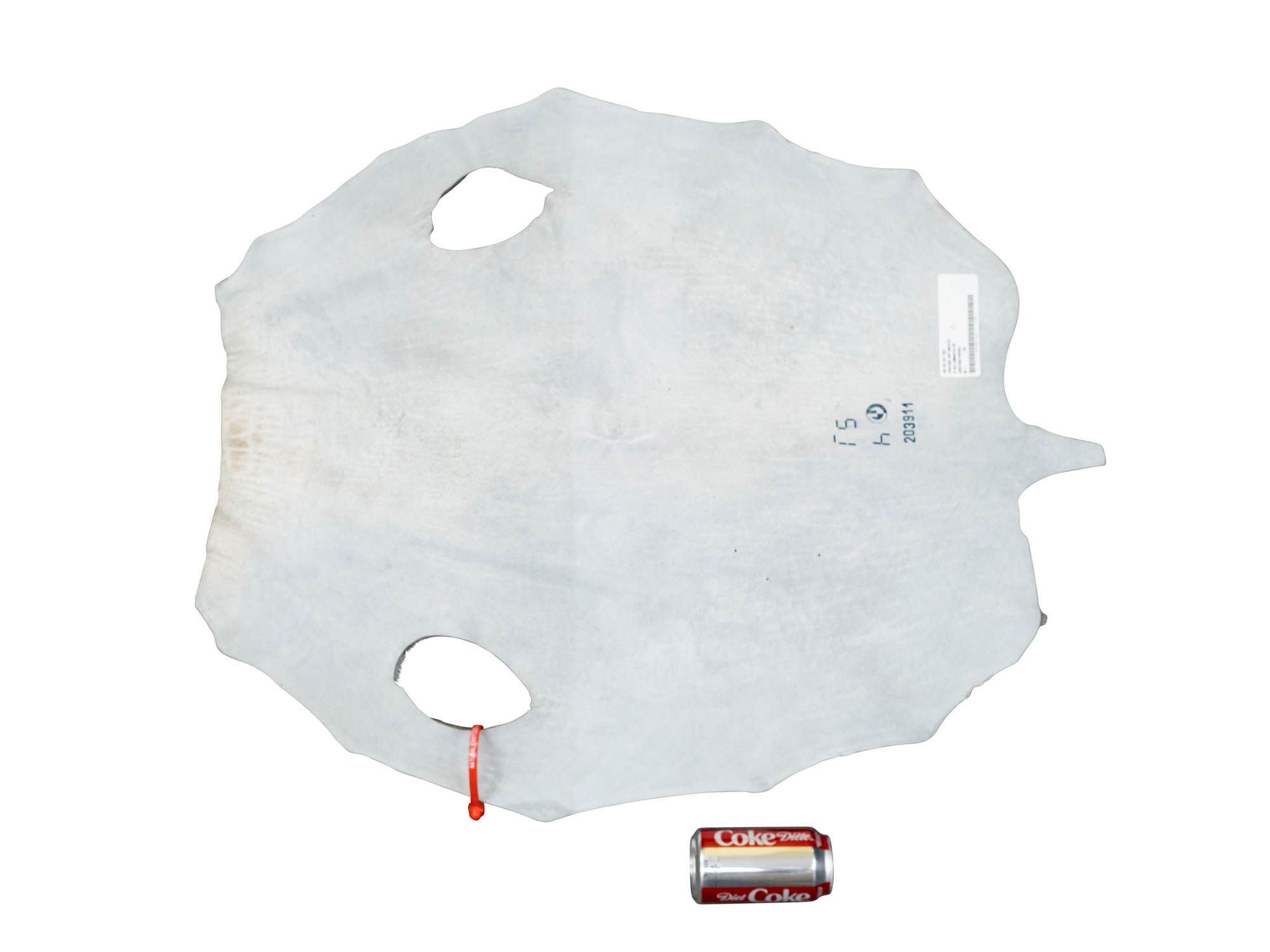 Seal Skins